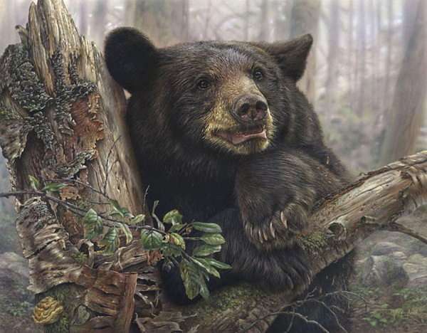 News Promo: Stunning Wildlife Paintings
