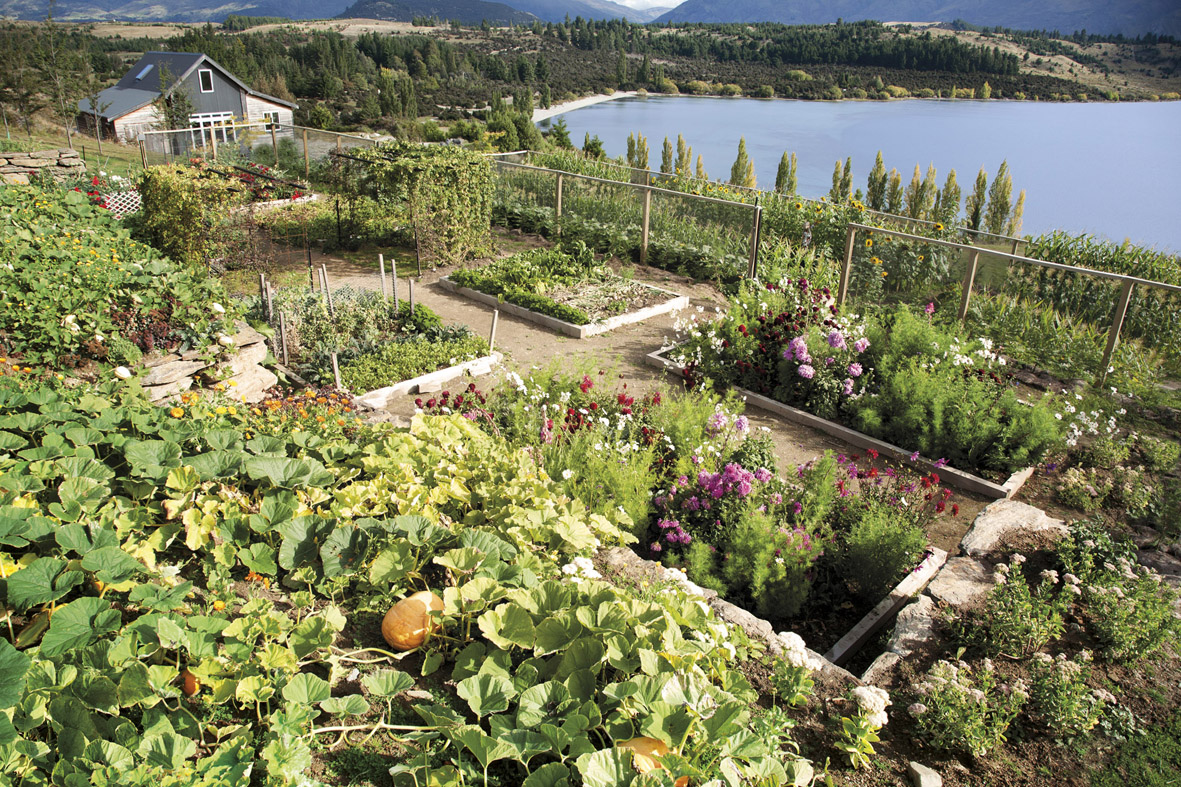 Beattie's Book Blog - unofficial homepage of the New Zealand book ... Beattie's Book Blog - unofficial homepage of the New Zealand book ...