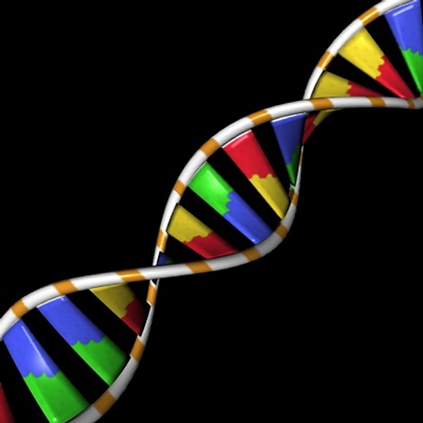 Restless Minds DNA Extraction From Onion Cells restless-minds-dna-extraction-from-onion-cells