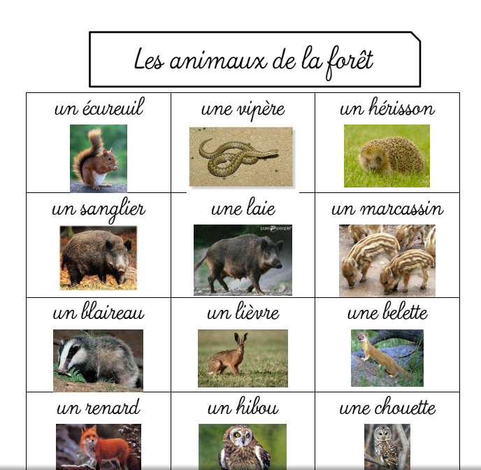 Delfynus - Une maitresse qui vous veut du bien: Les animaux