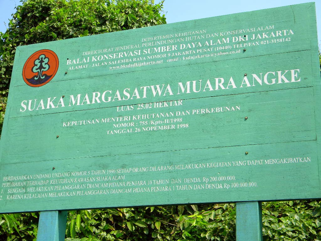 Suaka Margasatwa Muara Angke, Hutan Mangrove di Utara Jakarta | Basecamp Petualang