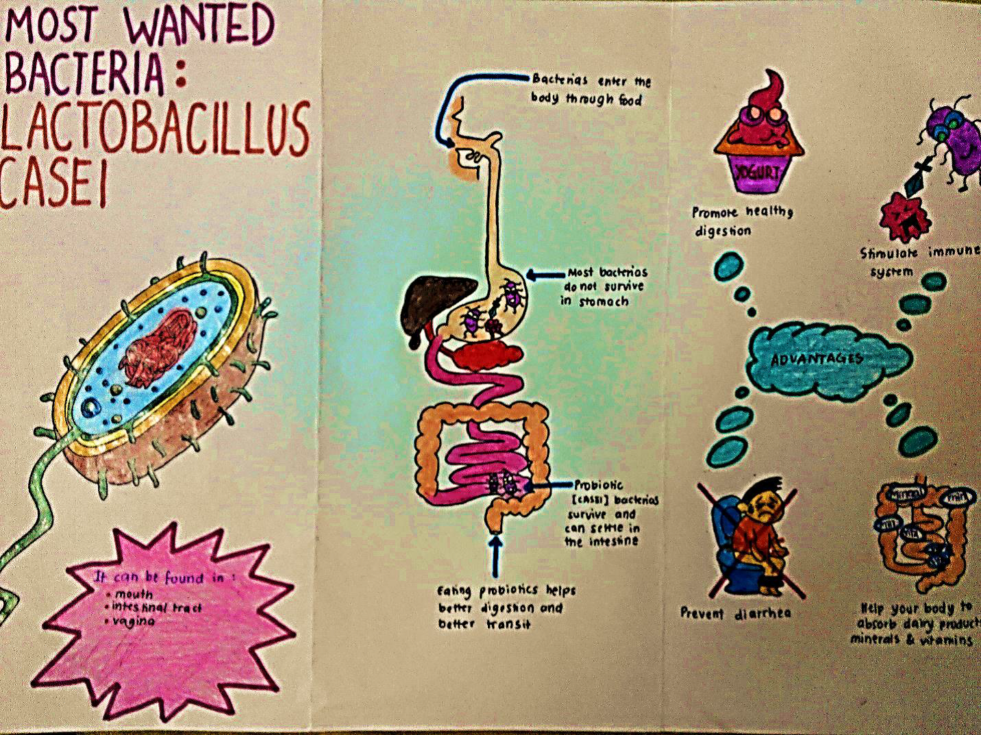 Cell And Development Biology WEEK 5 FLYER ASSIGNMENT And Topic 5 cell-and-development-biology-week-5-flyer-assignment-and-topic-5