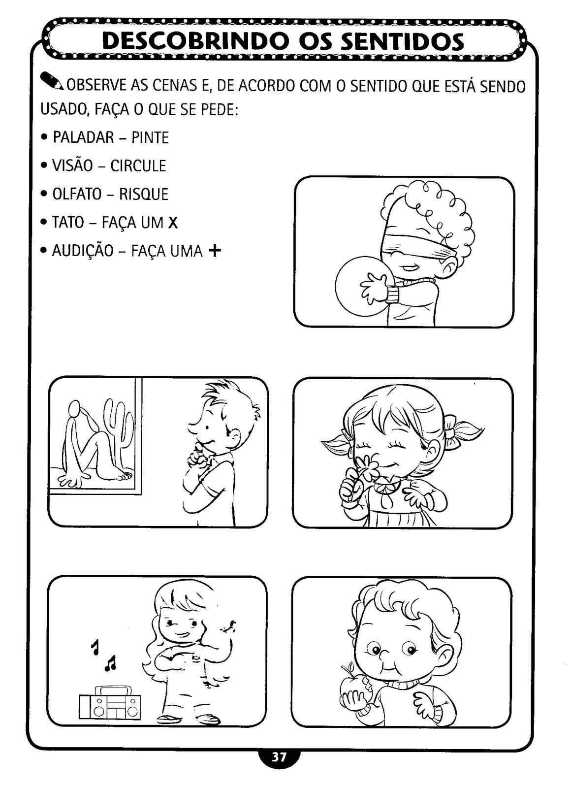 Atividades Sobre Os 5 Sentidos 1 Ano - NAZAEDU