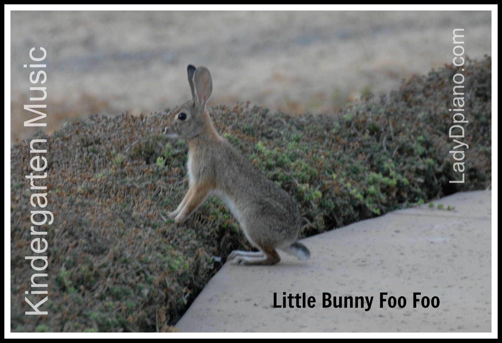 Barefoot Books- LadyD: Kindergarten Music: Little Bunny Foo Foo