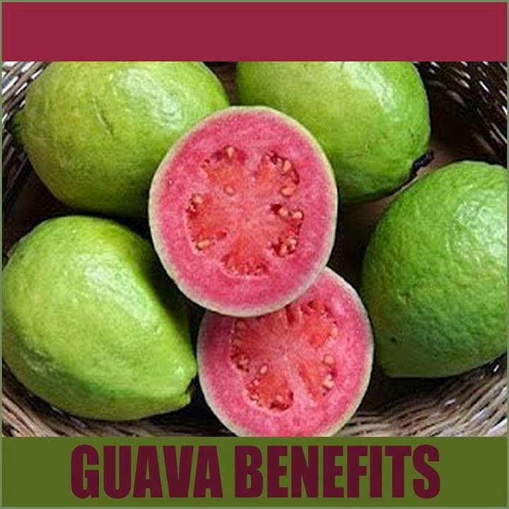 Health Benefits Of Guava Healthy Living 2014 health-benefits-of-guava-healthy-living-2014