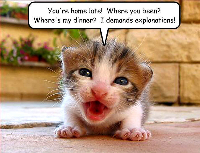 Animal Facts That YOU Need To Know About FUNNY ANIMAL PICTURES animal-facts-that-you-need-to-know-about-funny-animal-pictures