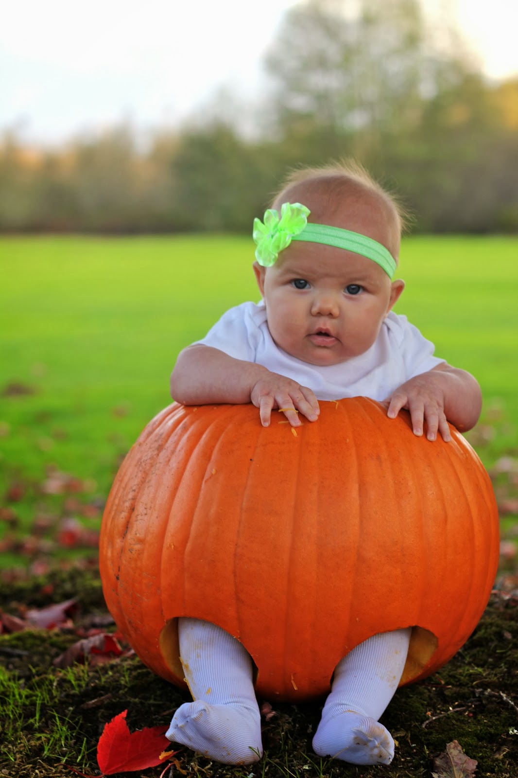 Pumpkin Baby pumpkin-baby