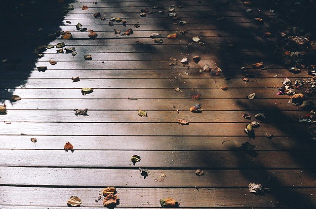 Lovingly Simple: Currently loving ....