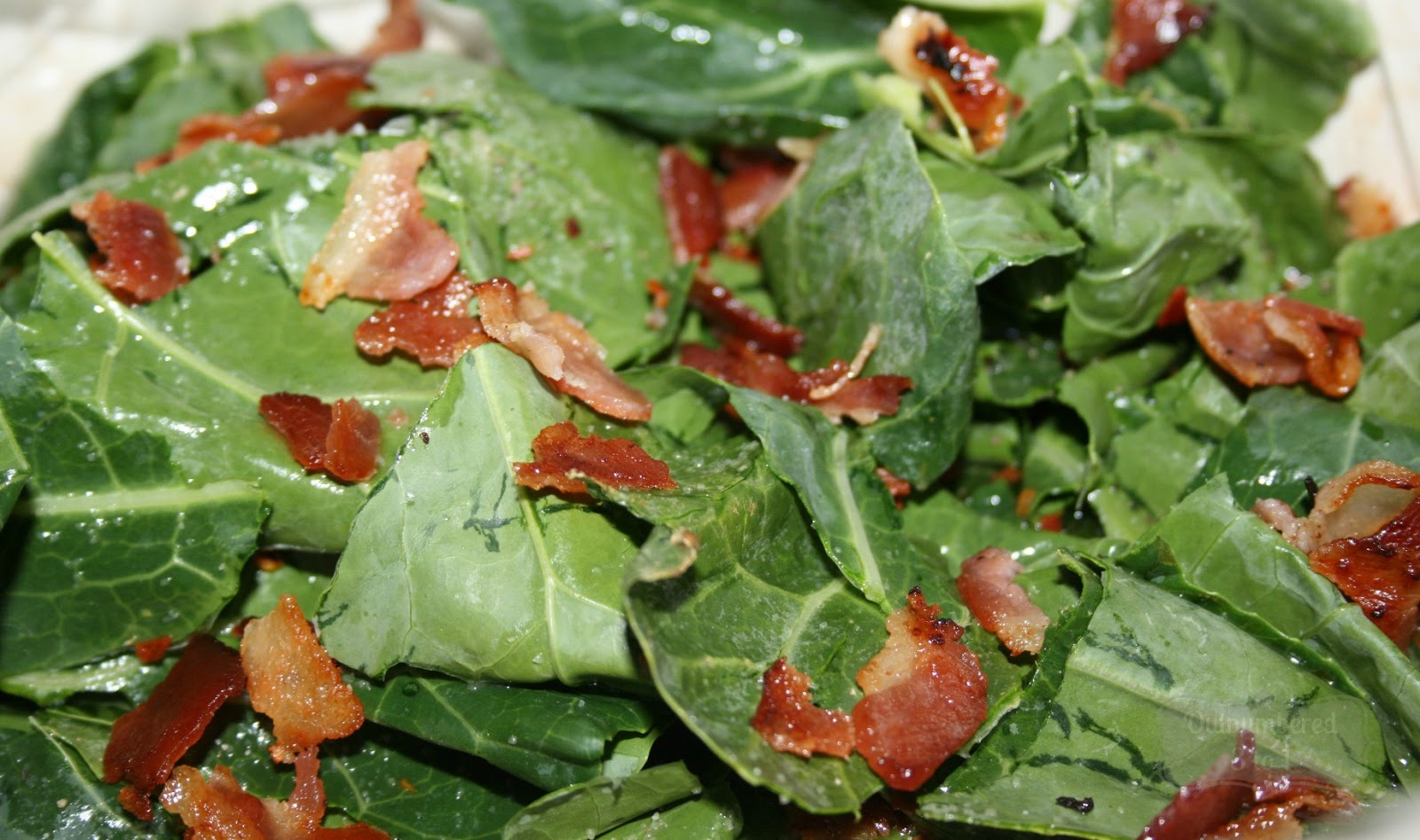 Crock Pot Southern Style Collard Greens Outnumbered 3 To 1 crock-pot-southern-style-collard-greens-outnumbered-3-to-1