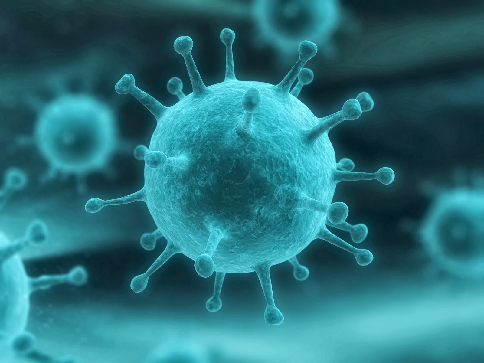 Biologia ogólna: Wirusy Biologia ogólna: Wirusy