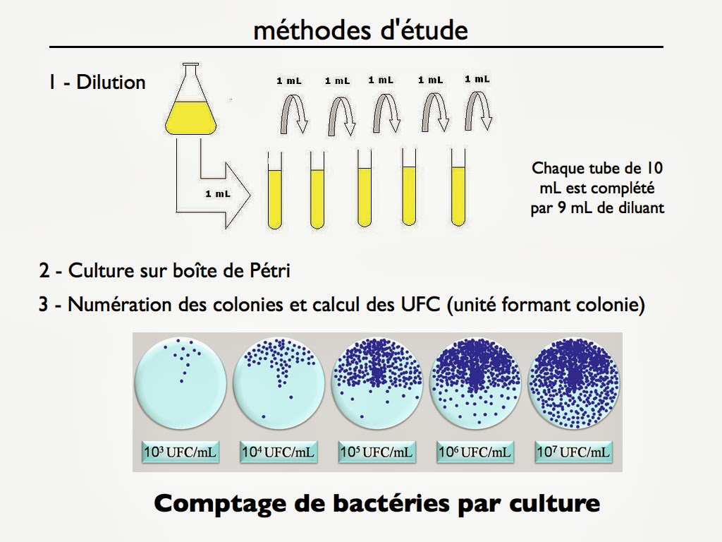 svtOlycée: 2013 svtOlycée: 2013