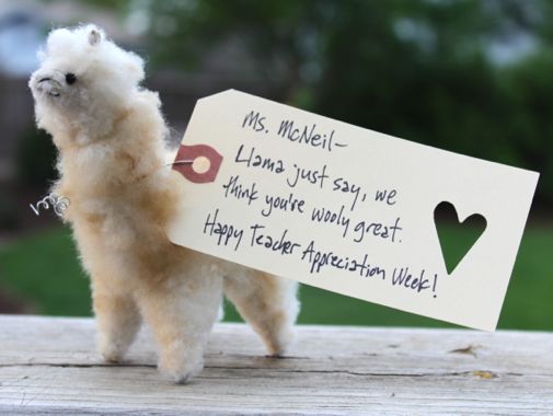 Project Denneler: Teacher Appreciation Week