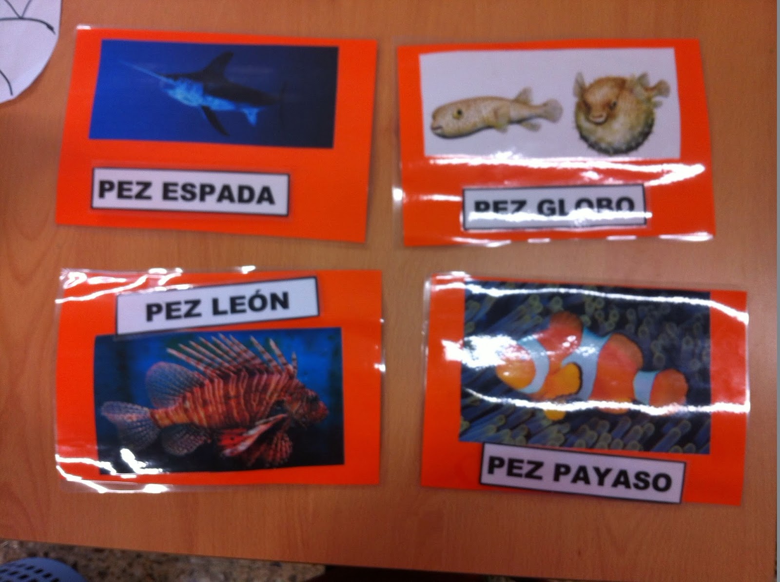 APRENDIENDO JUNTOS: proyecto los peces