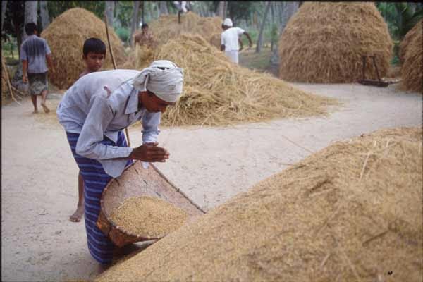 Old European Culture Bogovo Gumno God s Threshing Floor old-european-culture-bogovo-gumno-god-s-threshing-floor