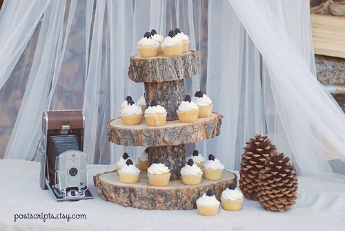 Kortney Shane s Wedding Cake Stand Ideas kortney-shane-s-wedding-cake-stand-ideas