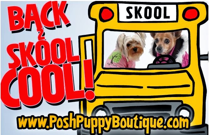 Send Your Dog Back To School – Posh Puppy Boutique