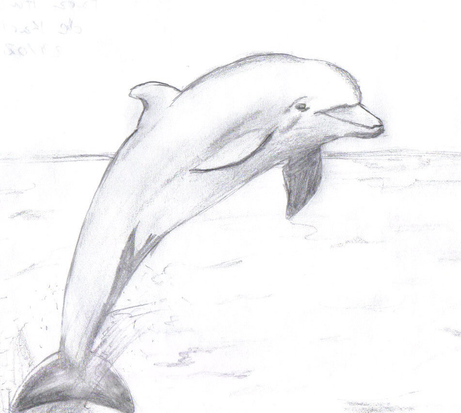 Dibujos de delfines hechos a lapiz - Imagui