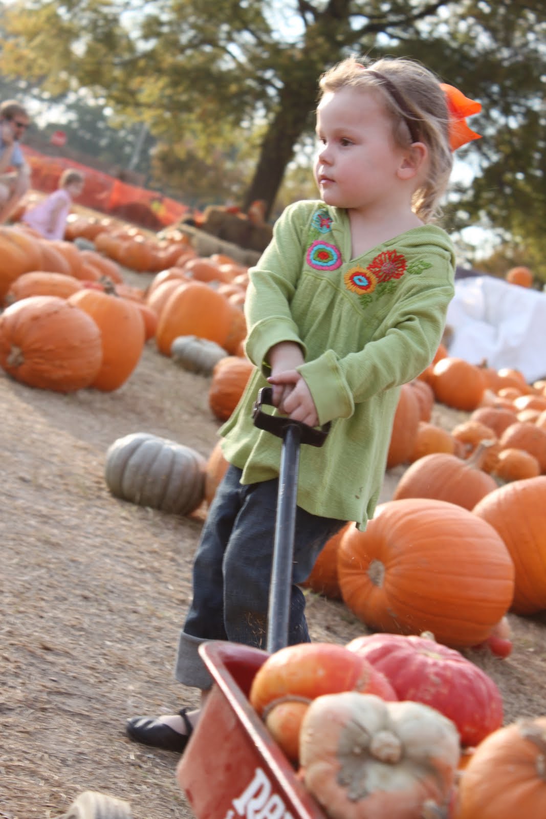 Mojoy: Pumpkin Patch 2010...
