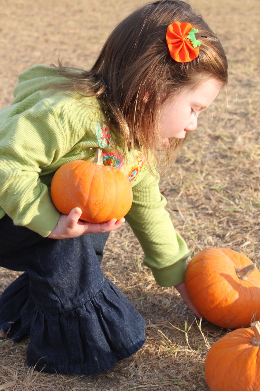 Mojoy: Pumpkin Patch 2010...
