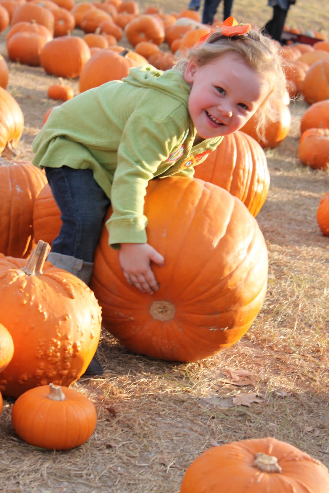 Mojoy: Pumpkin Patch 2010...