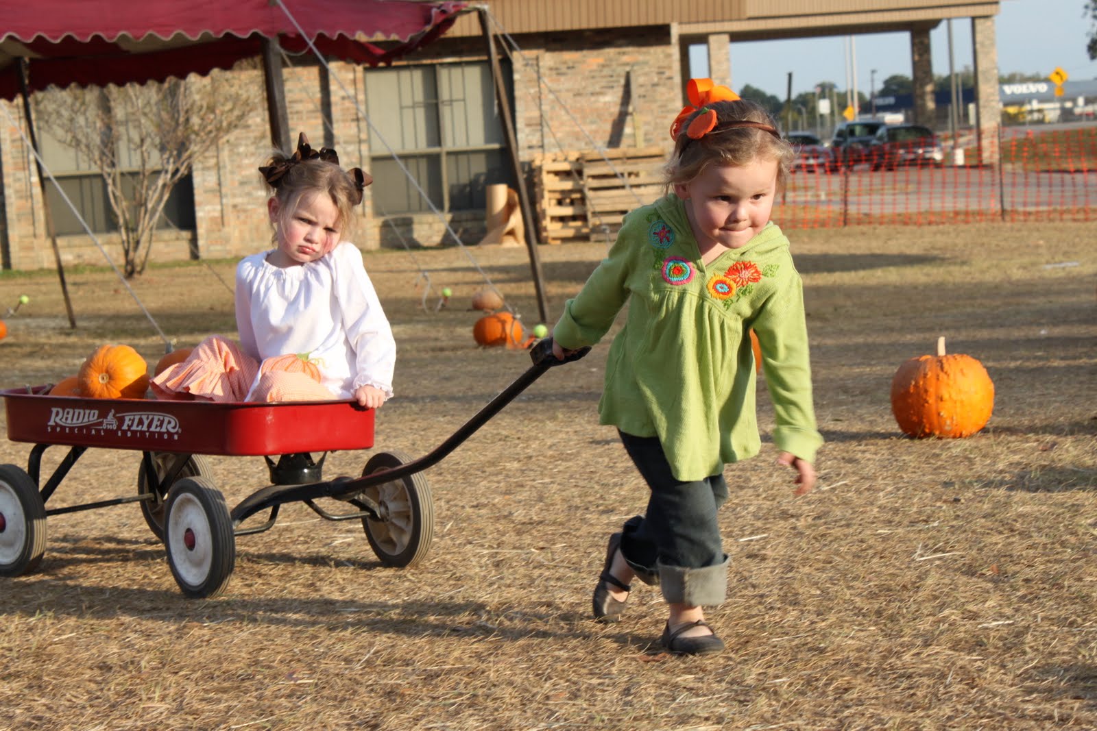 Mojoy: Pumpkin Patch 2010...