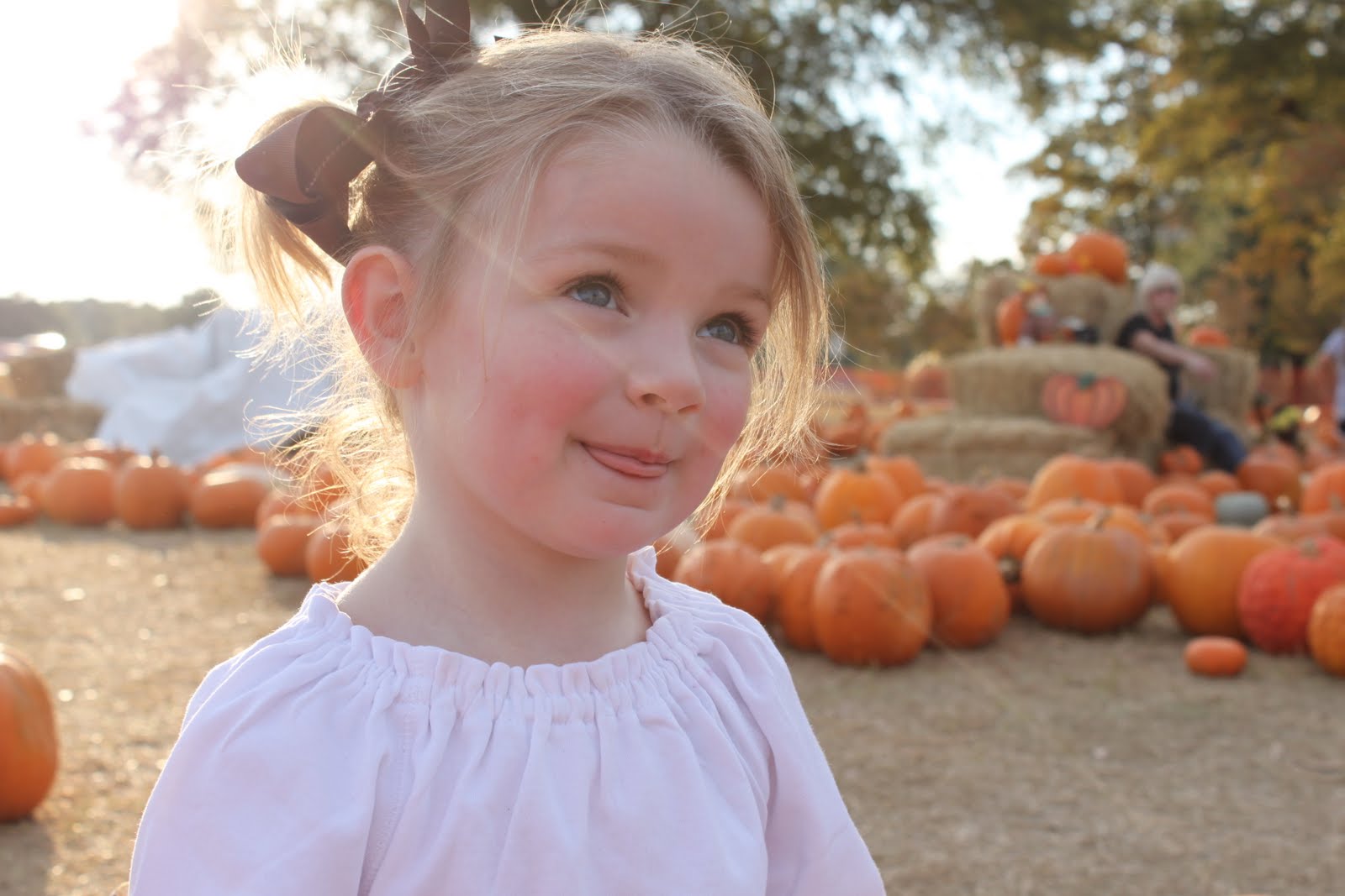 Mojoy: Pumpkin Patch 2010...