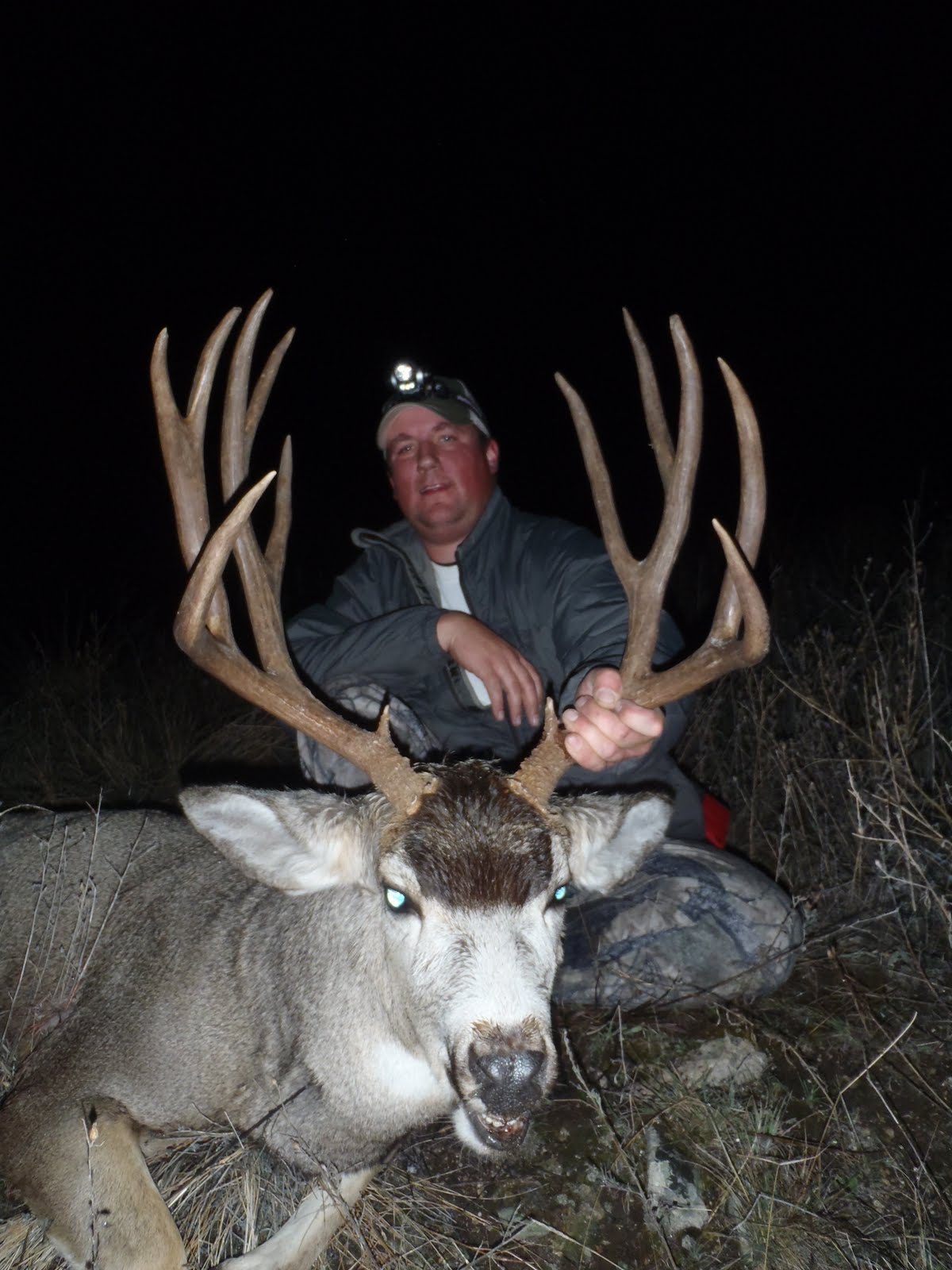 Montana Outfitter Journal: Trophy Mule Deer-Montana Non-typical Montana Outfitter Journal: Trophy Mule Deer-Montana Non-typical