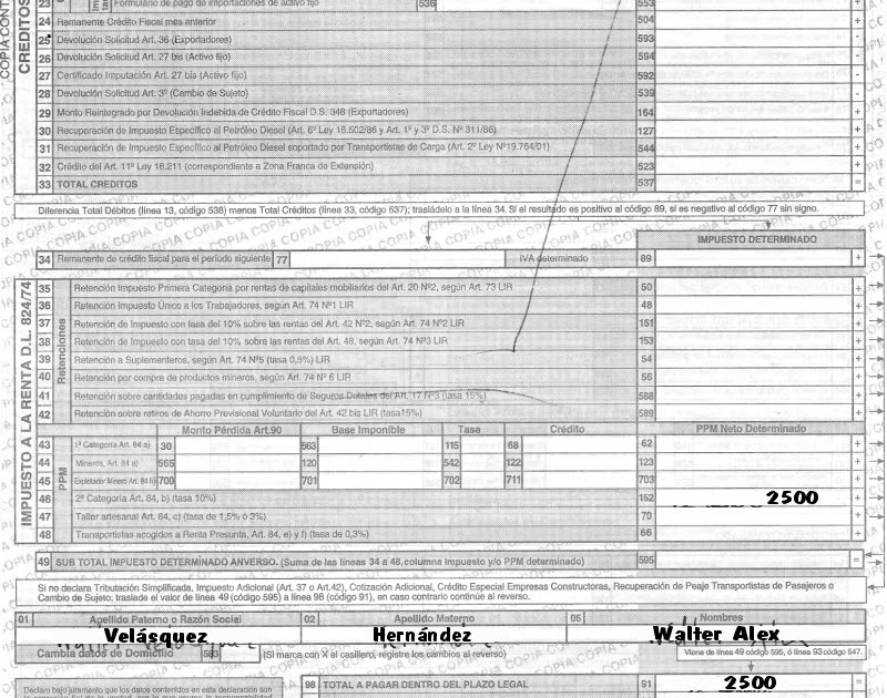 Llenado del Formulario 29 :: Bufoland, todas las leseras que se me ocurra escribir