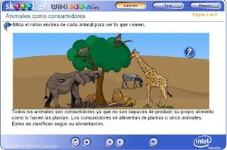 3º Ciclo: LA ALIMENTACIÓN DE LOS ANIMALES