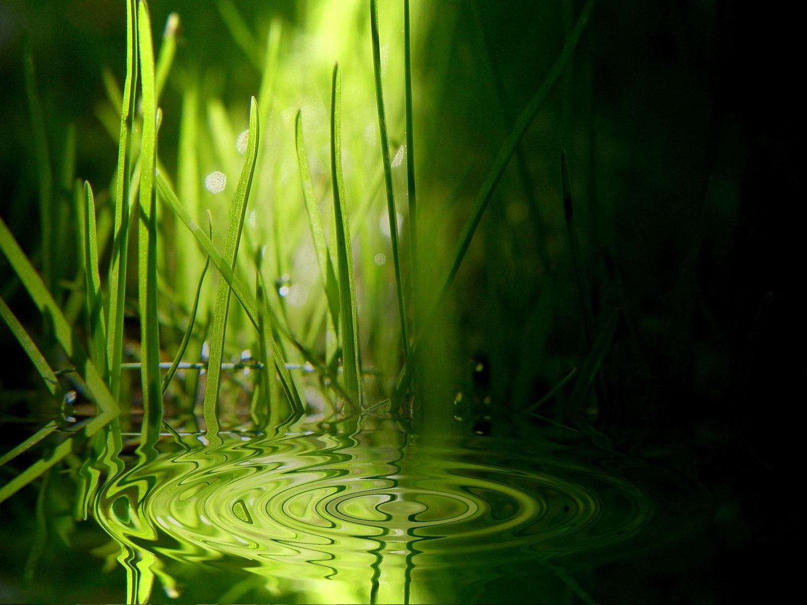 Papeisdeparedewallpapers: Alta definição agua Papeisdeparedewallpapers: Alta definição agua