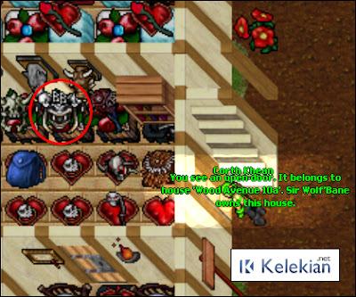 Mundo Tibia Br | Notícias, Downloads e Muito Mais