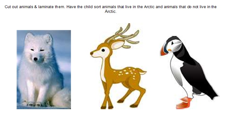 NEW PRINTABLE (ARCTIC & NON-ARCTIC ANIMAL SORT GAME) + WINTER LEARNING ...