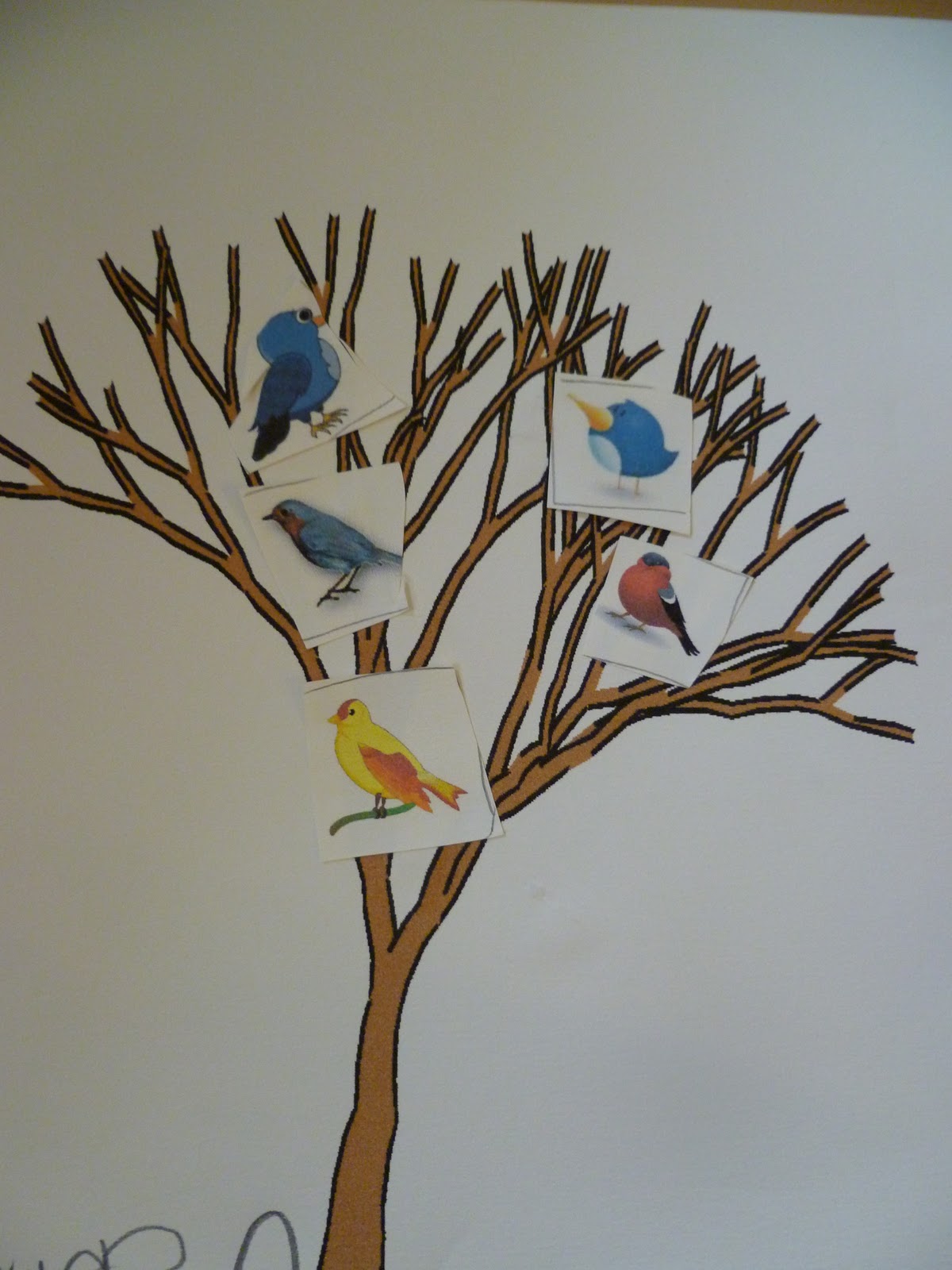 LETTER OF THE WEEK "B" & LEARNING ABOUT BIRDS! (art, science & more ...