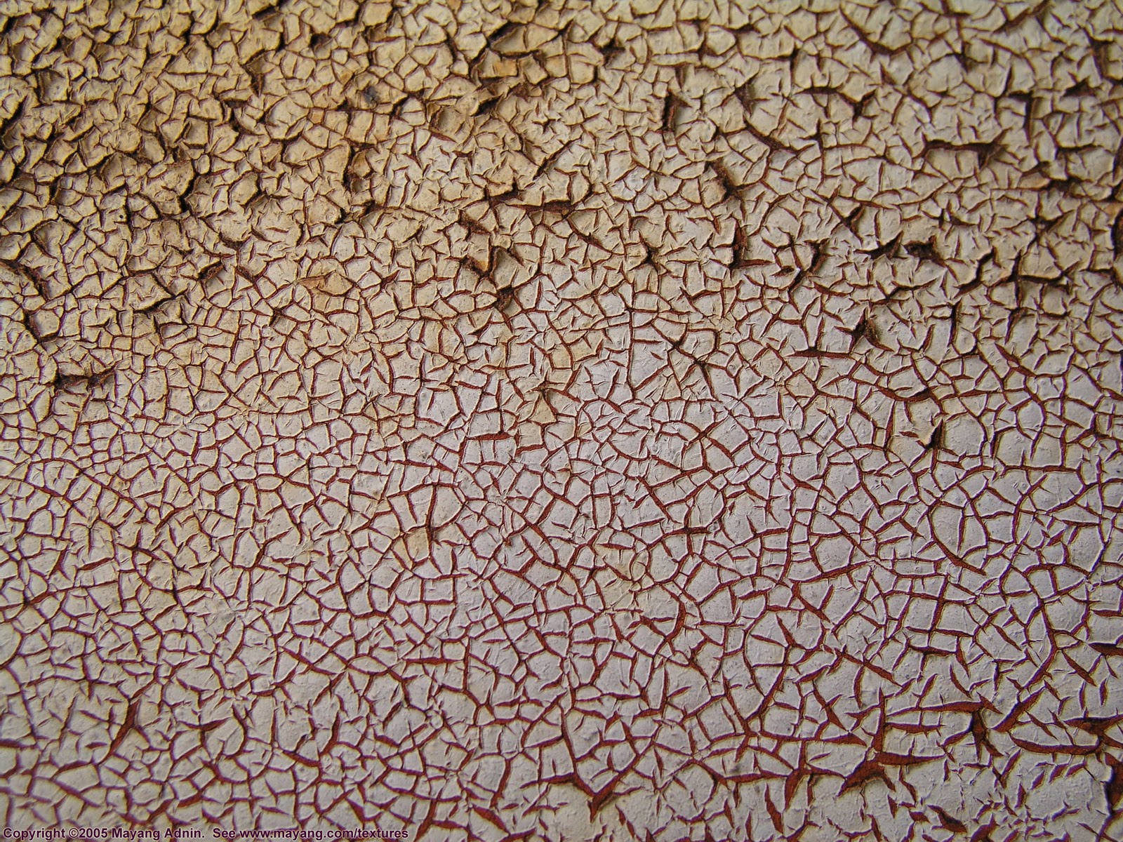 ART4990 Adv Graphic: TEXTURE ART4990 Adv Graphic: TEXTURE
