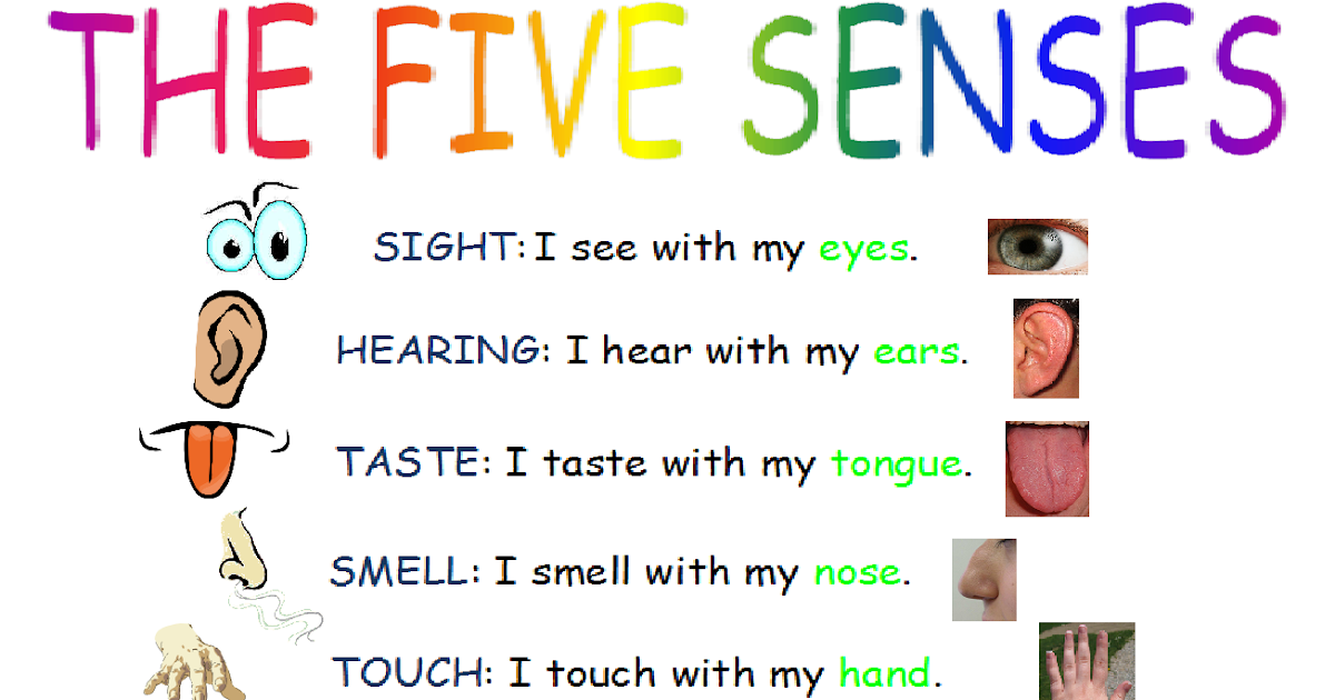 FSLOVENGLISH: Los 5 sentidos: The five senses.