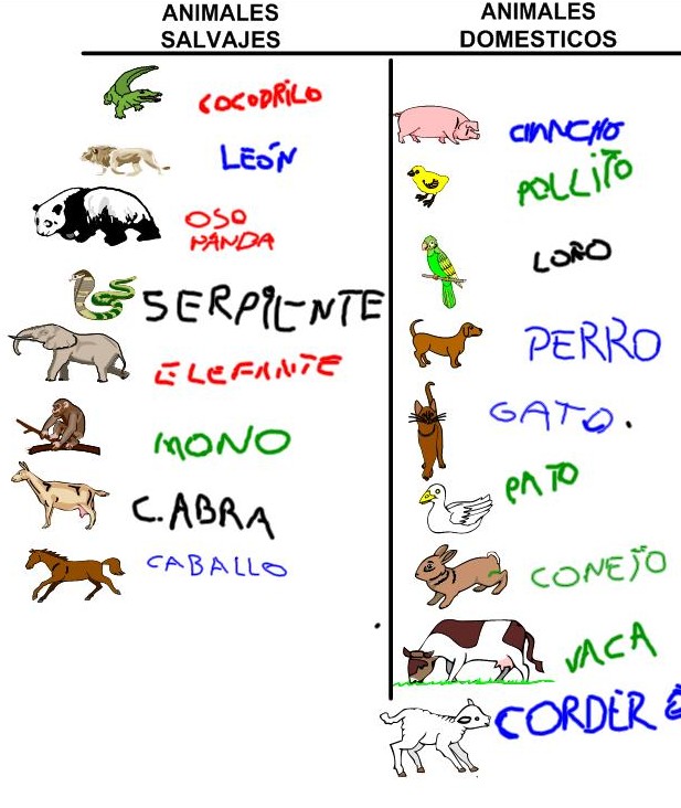 Animales domestico y salvaje - Imagui
