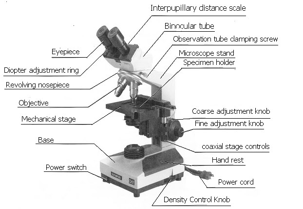 Medical Technologists' Life in a Clinical Laboratory + Malaria ...