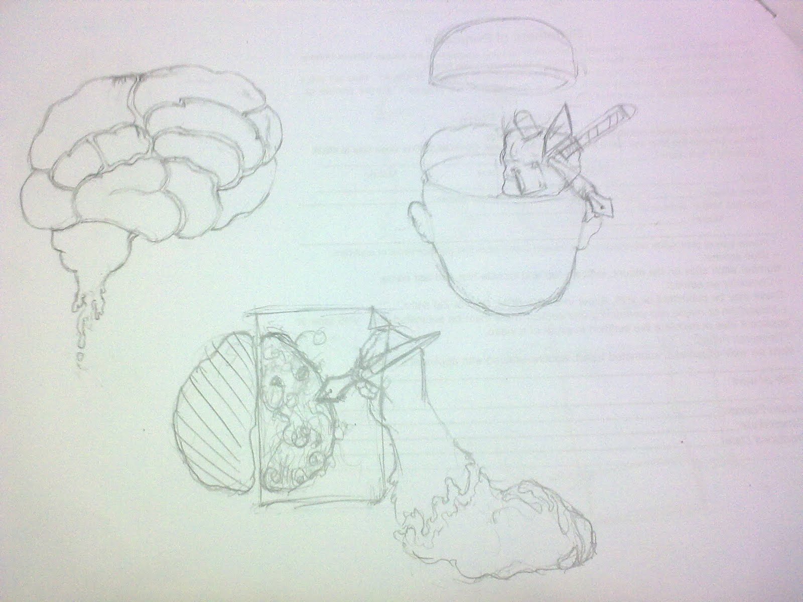 Creative Multimedia | Creativology