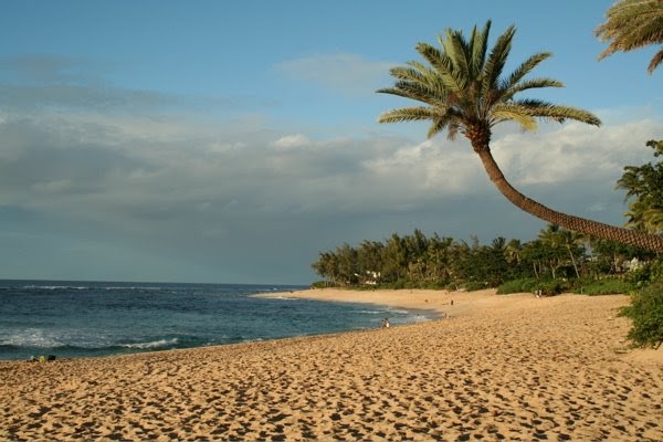 &: Lord of the Flies - Setting