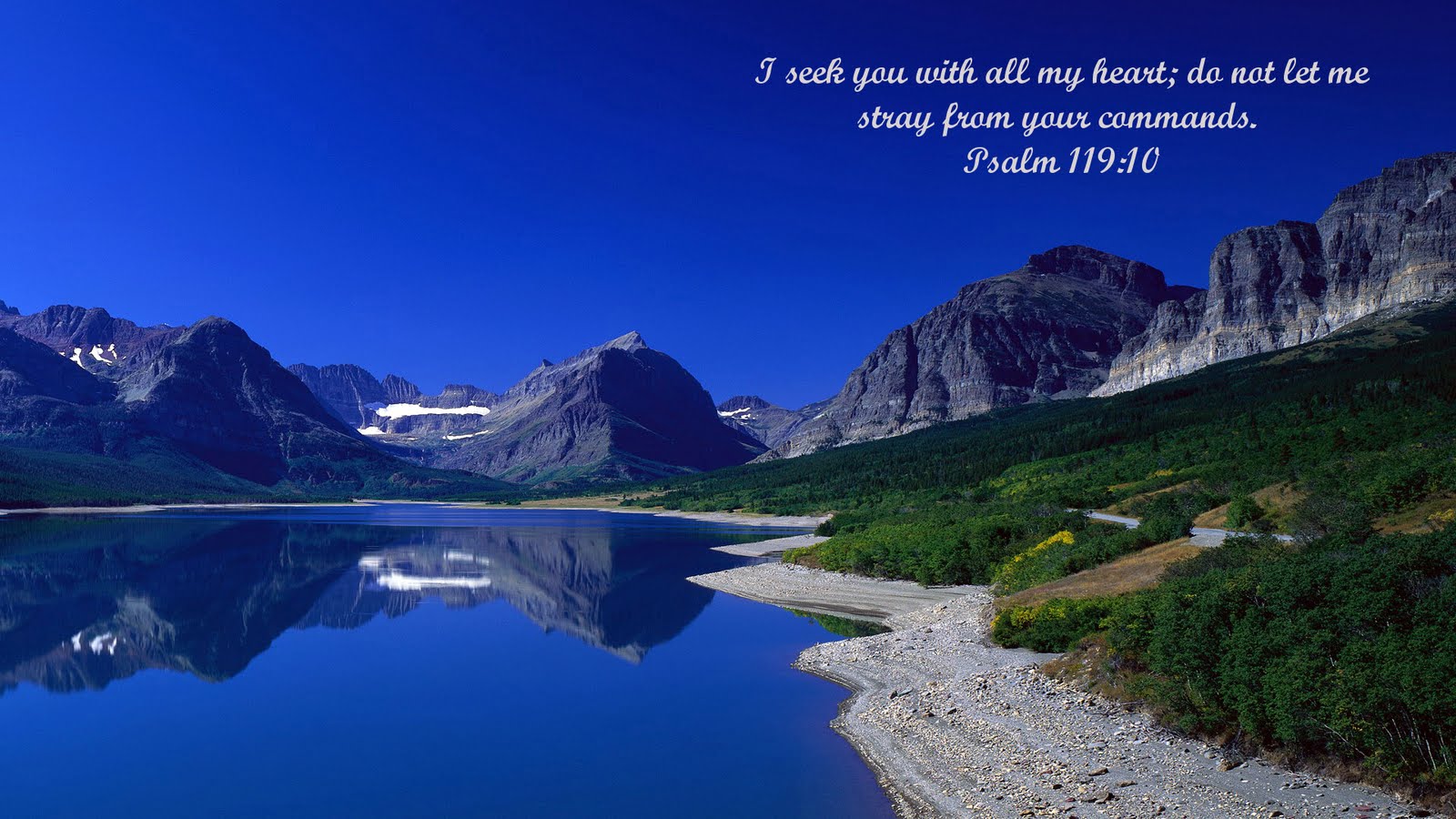 Christian Wallpapers Psalm 119 10 christian-wallpapers-psalm-119-10
