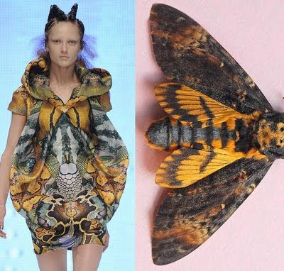 Tiny Sparkly Things: THE INSPIRATION BEHIND ALEXANDER MCQUEEN SPRING 2010 are Moths