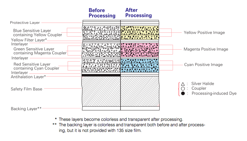 Color Class At FIT Slide Film Vs Negative Film Vs Digital color-class-at-fit-slide-film-vs-negative-film-vs-digital