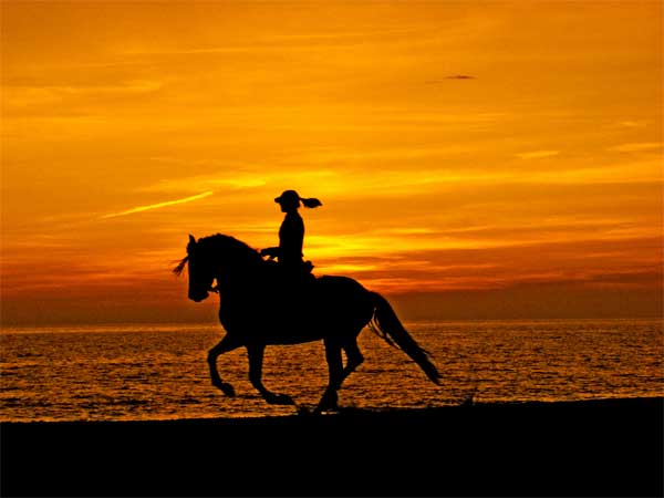 Caballos por la playa - Imagui