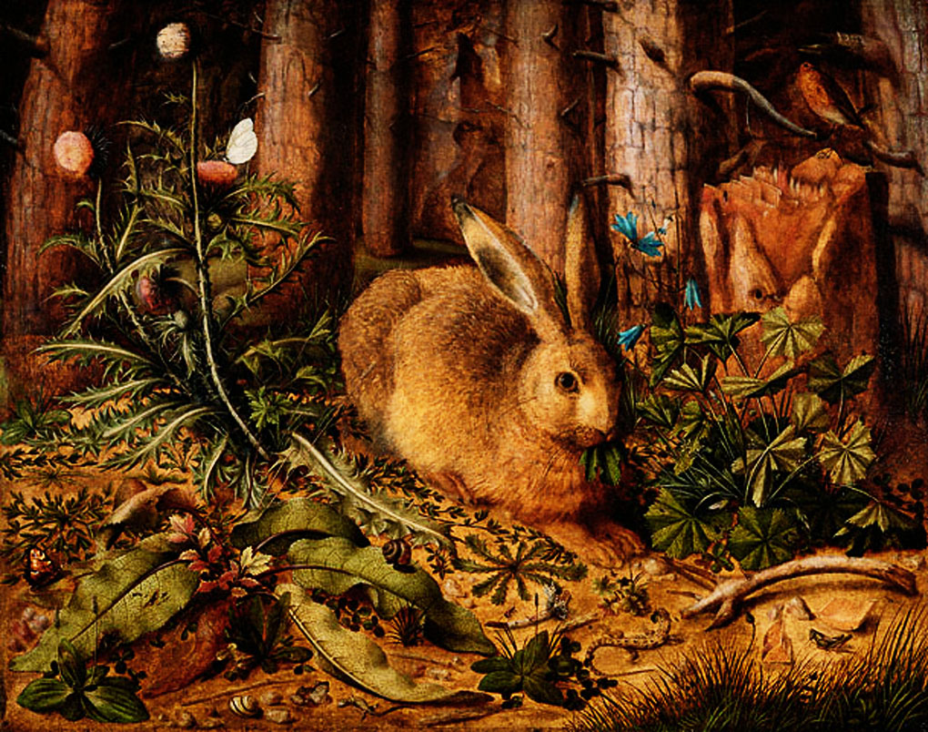 Intelliblog YEAR OF THE RABBIT intelliblog-year-of-the-rabbit