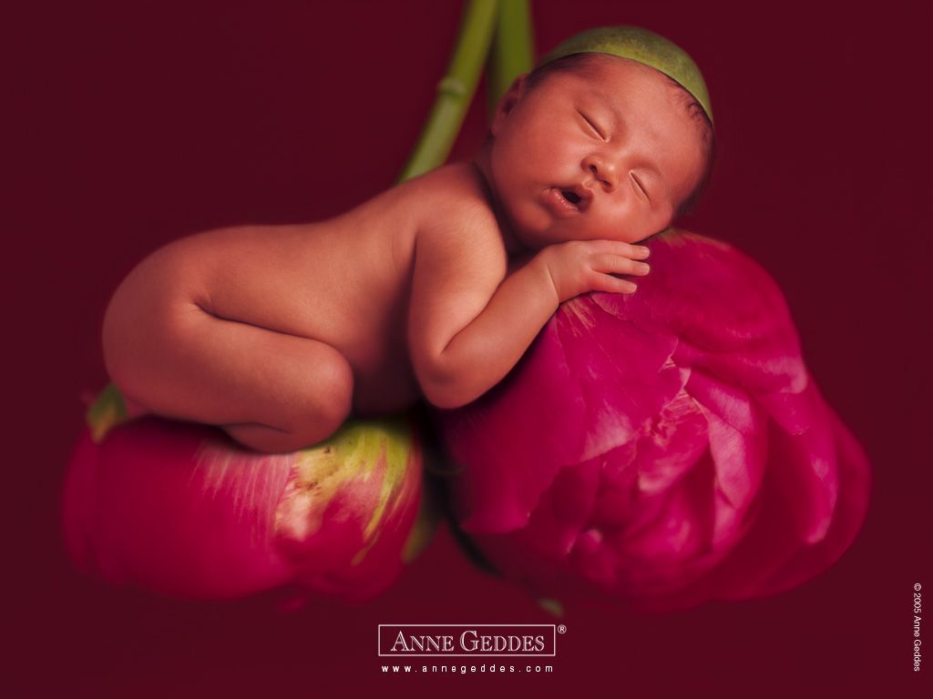 MUZAK-THE ONE AND ONLY: Baby Pictures by Anne Geddes (70 Amazing Photos)