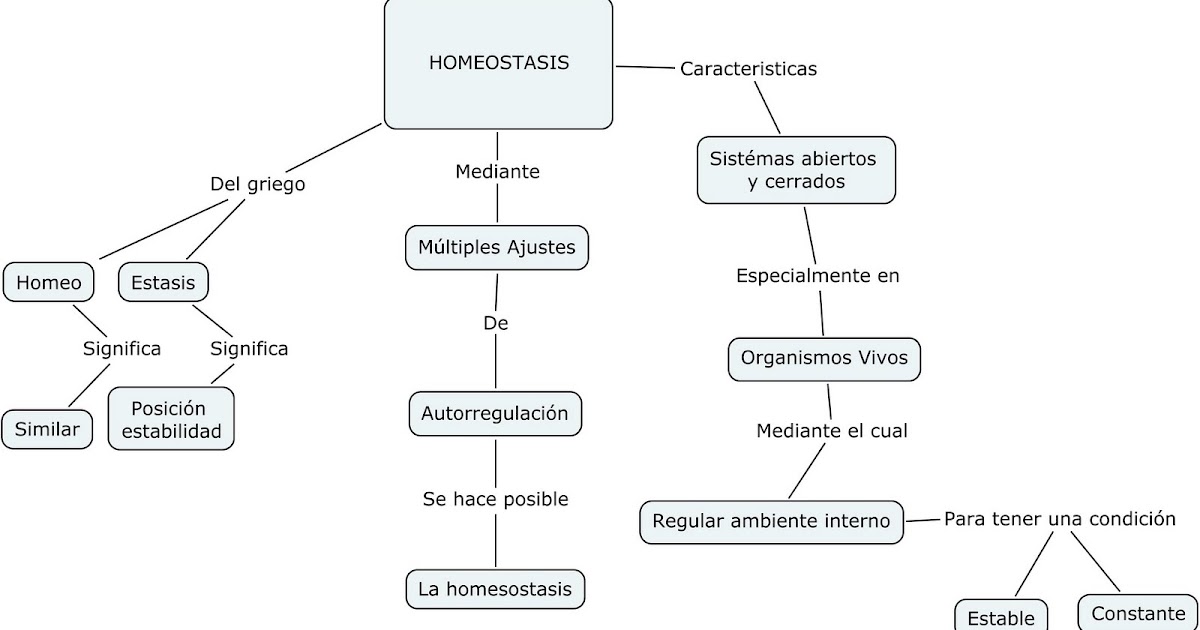 Sistémas de información: MAPA CONCEPTUAL DE HOMEOSTASIS