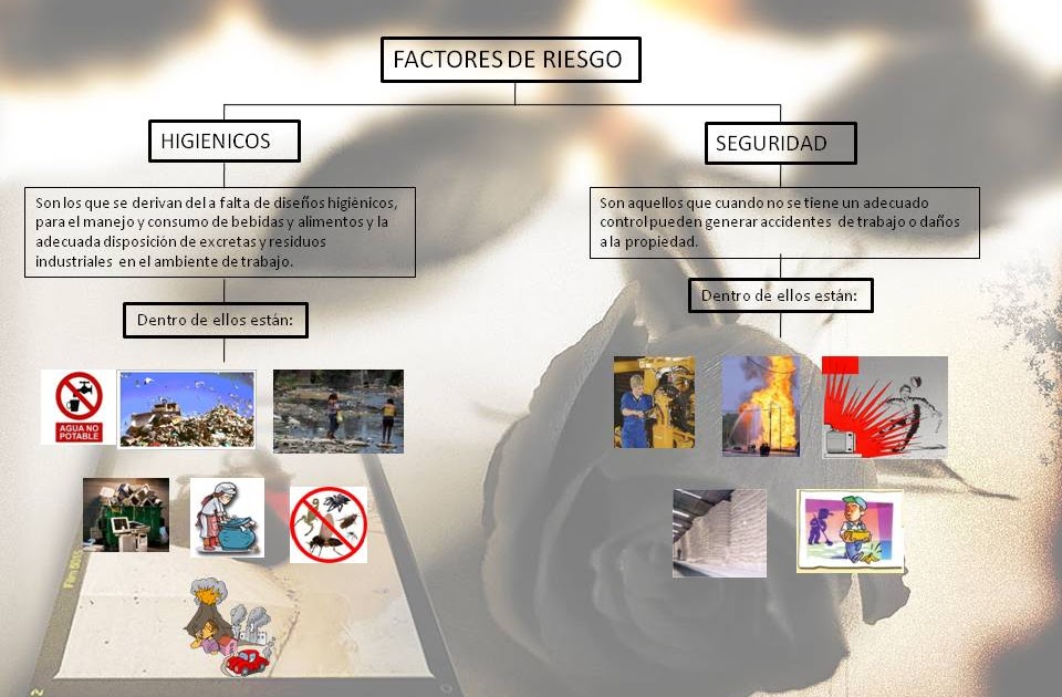 FrAnKnEt: MAPA CONCEPTUAL FACTORES DE RIESGO