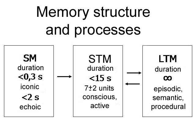 Fresh Session 3 Limitations Of Short term Memory fresh-session-3-limitations-of-short-term-memory