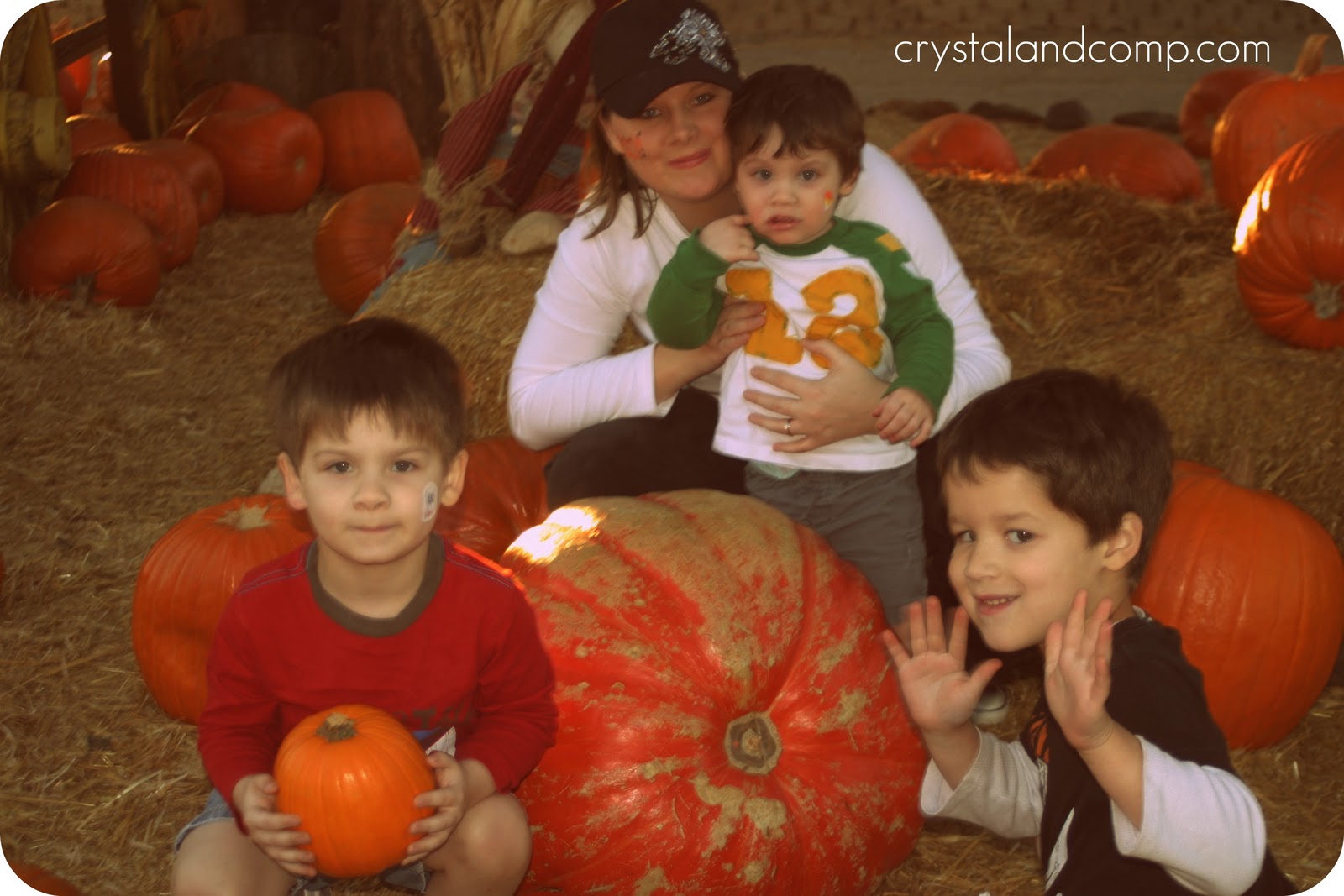 Pumpkin Patch 2010- Wordless Wednesday (kind of) - CrystalandComp.com