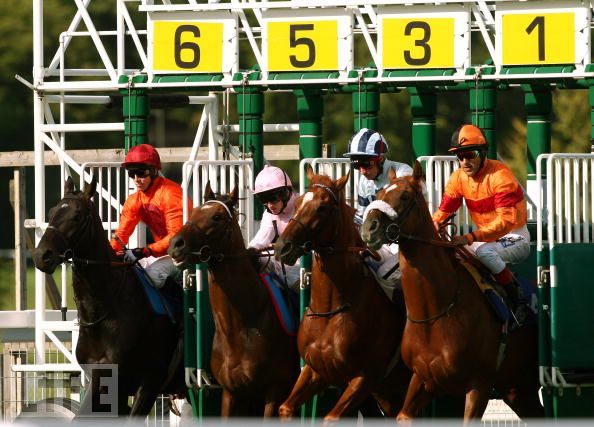 Under Starters Orders